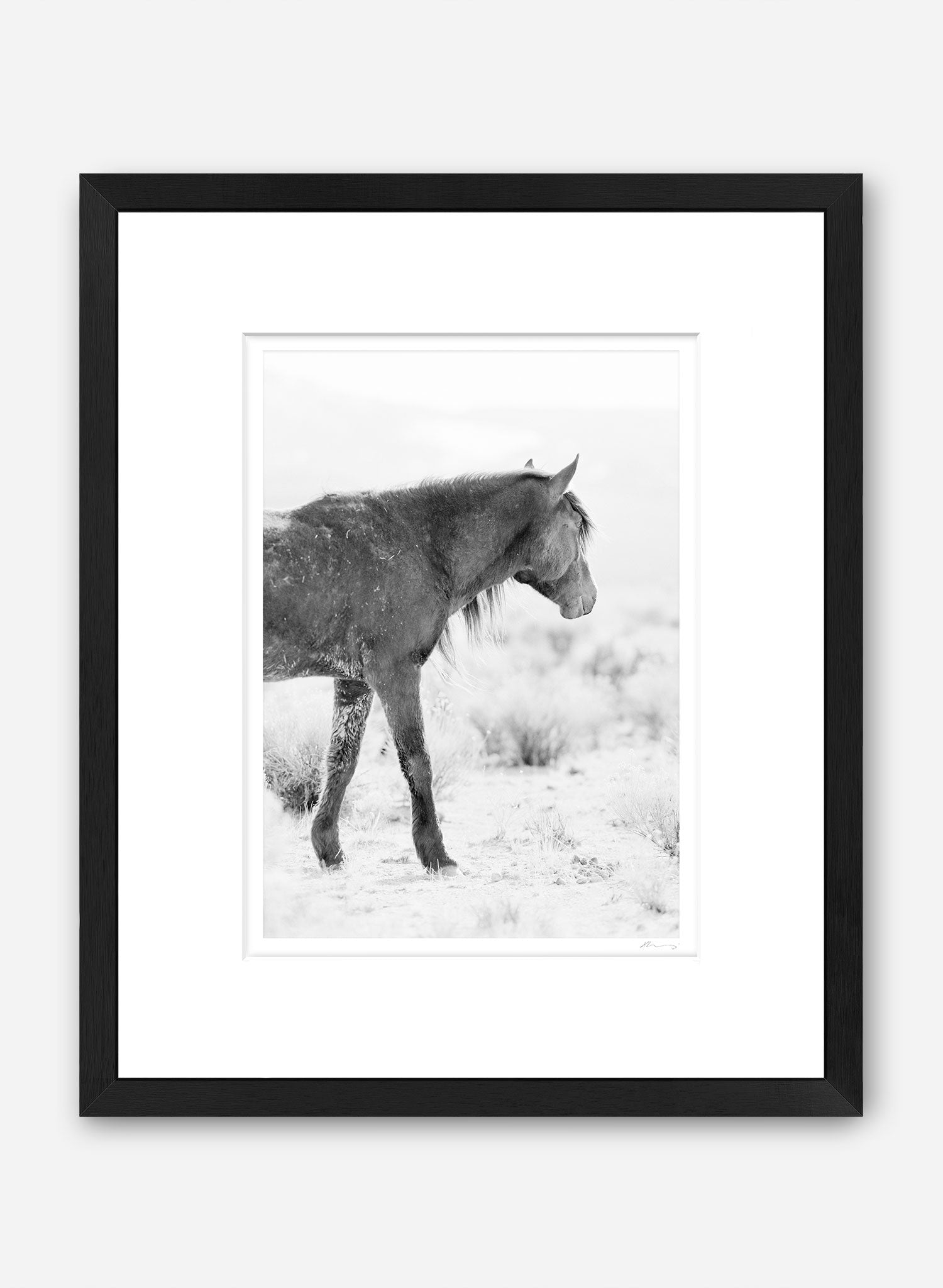 Alpine Stallion – KT Merry Fine Art