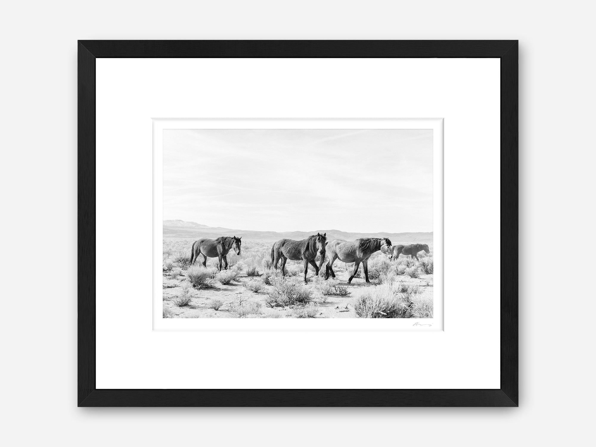 Mustangs of the Sage – KT Merry Fine Art