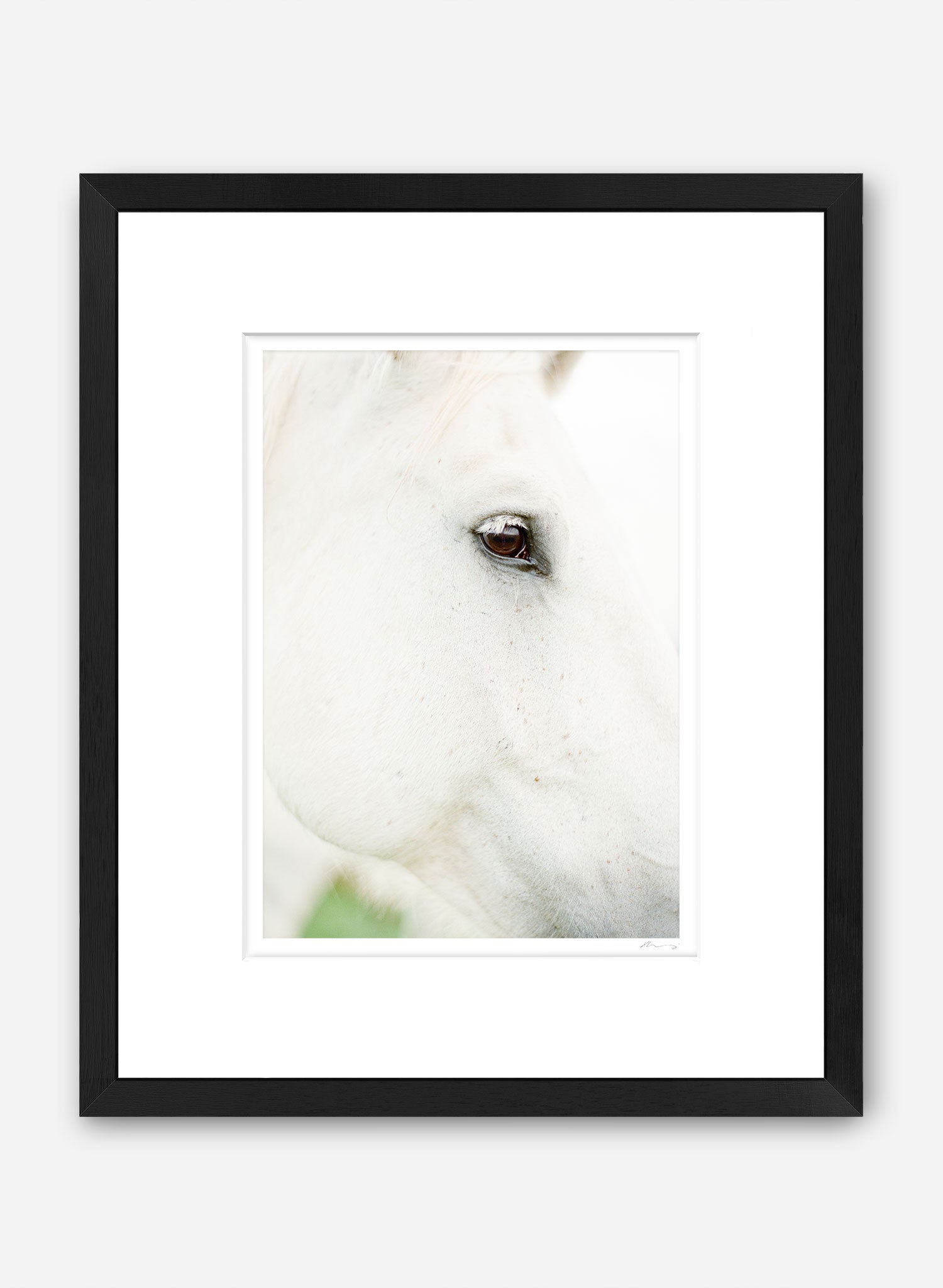 Quiet Gaze – KT Merry Fine Art
