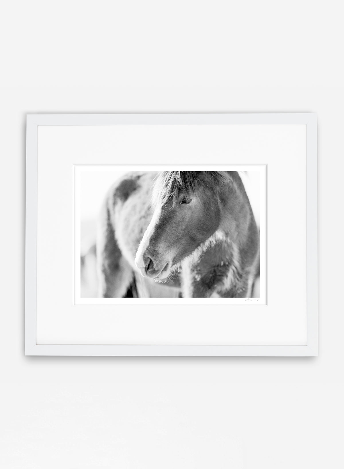 Spring Filly – KT Merry Fine Art