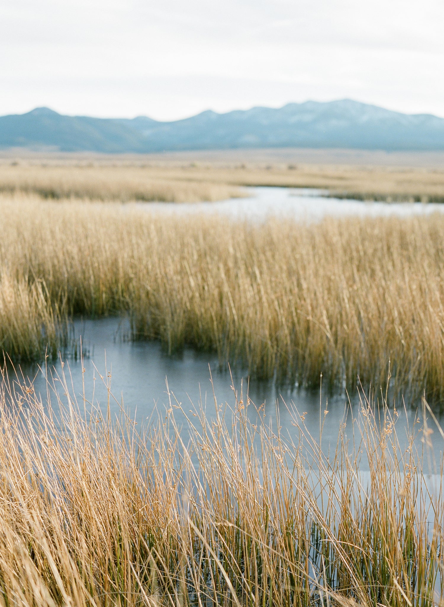 Serene Waters – KT Merry Fine Art